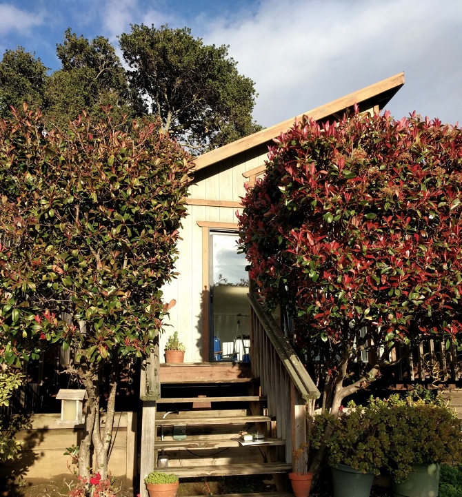 Brisbane Cottage - Shelly Huber