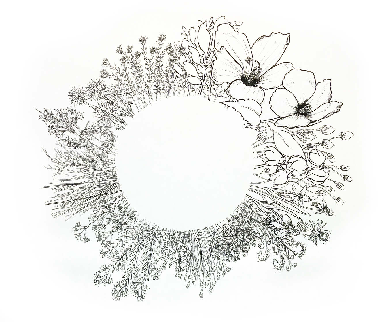 In Black & White - Shelly Huber