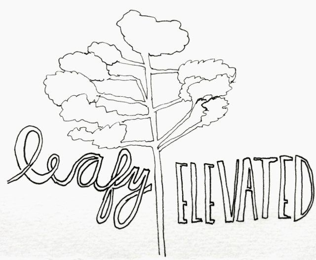 In Black & White - Shelly Huber