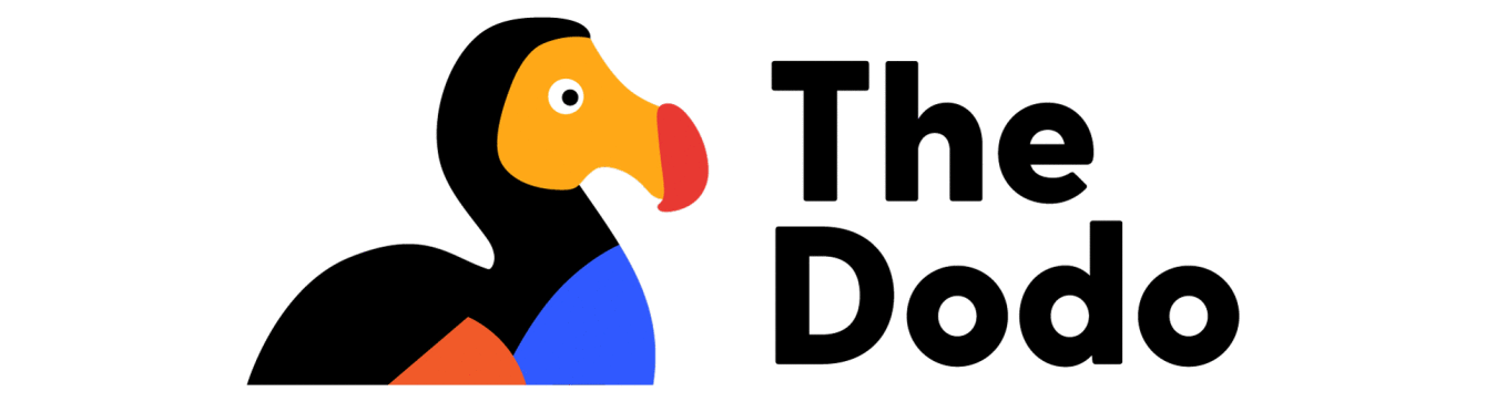 Design - Dwayne Lutchna