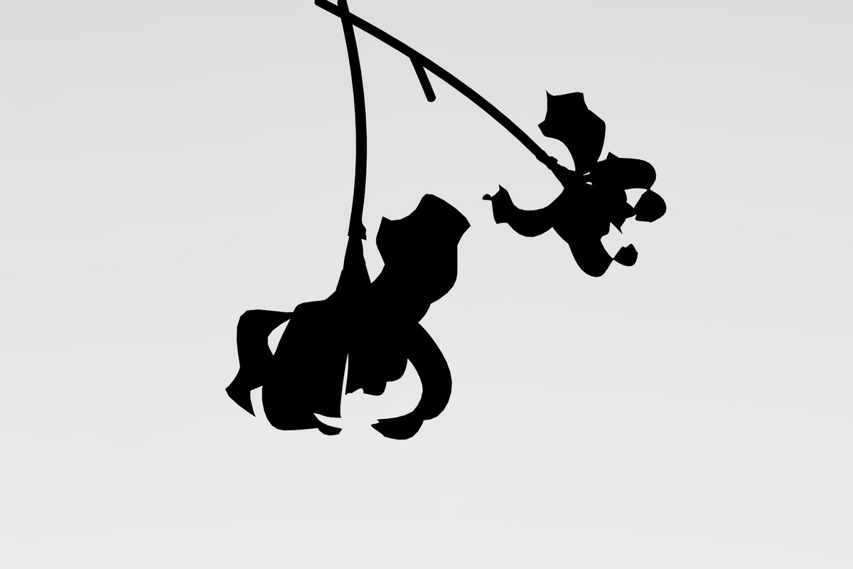 Zayla process images - Joe Meiser