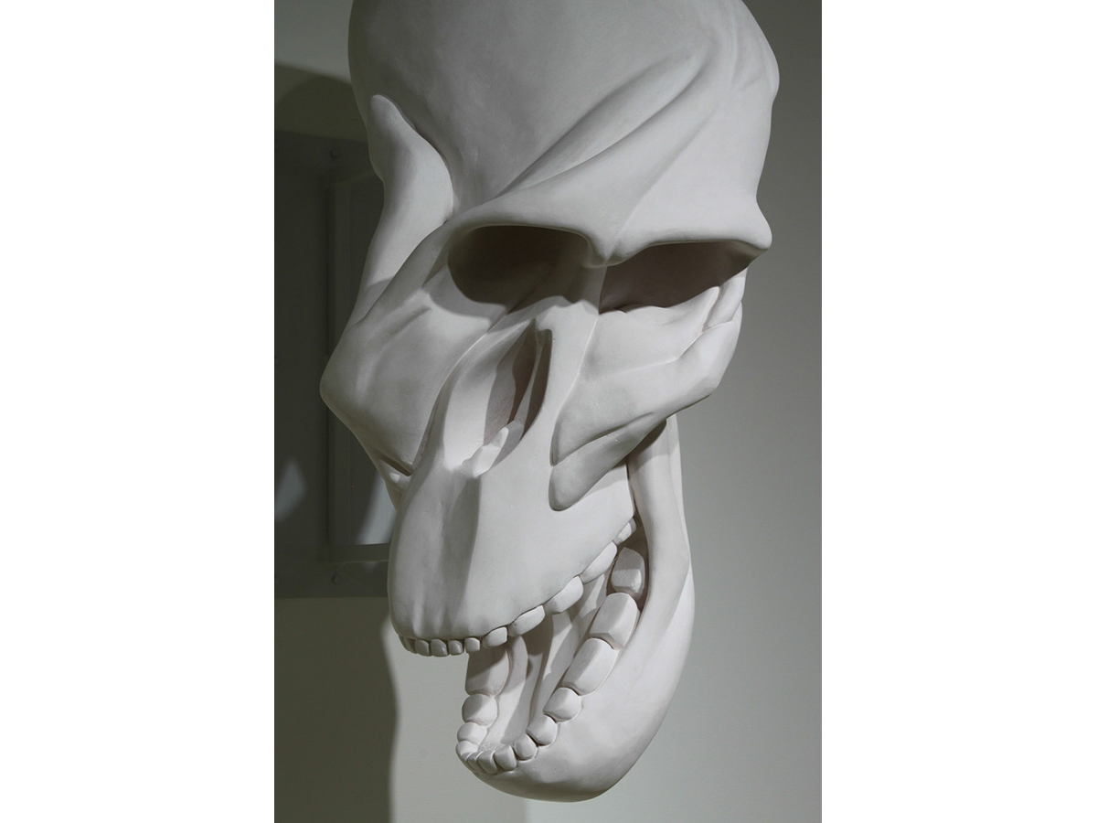 Hominid and Simian Souls - Joe Meiser