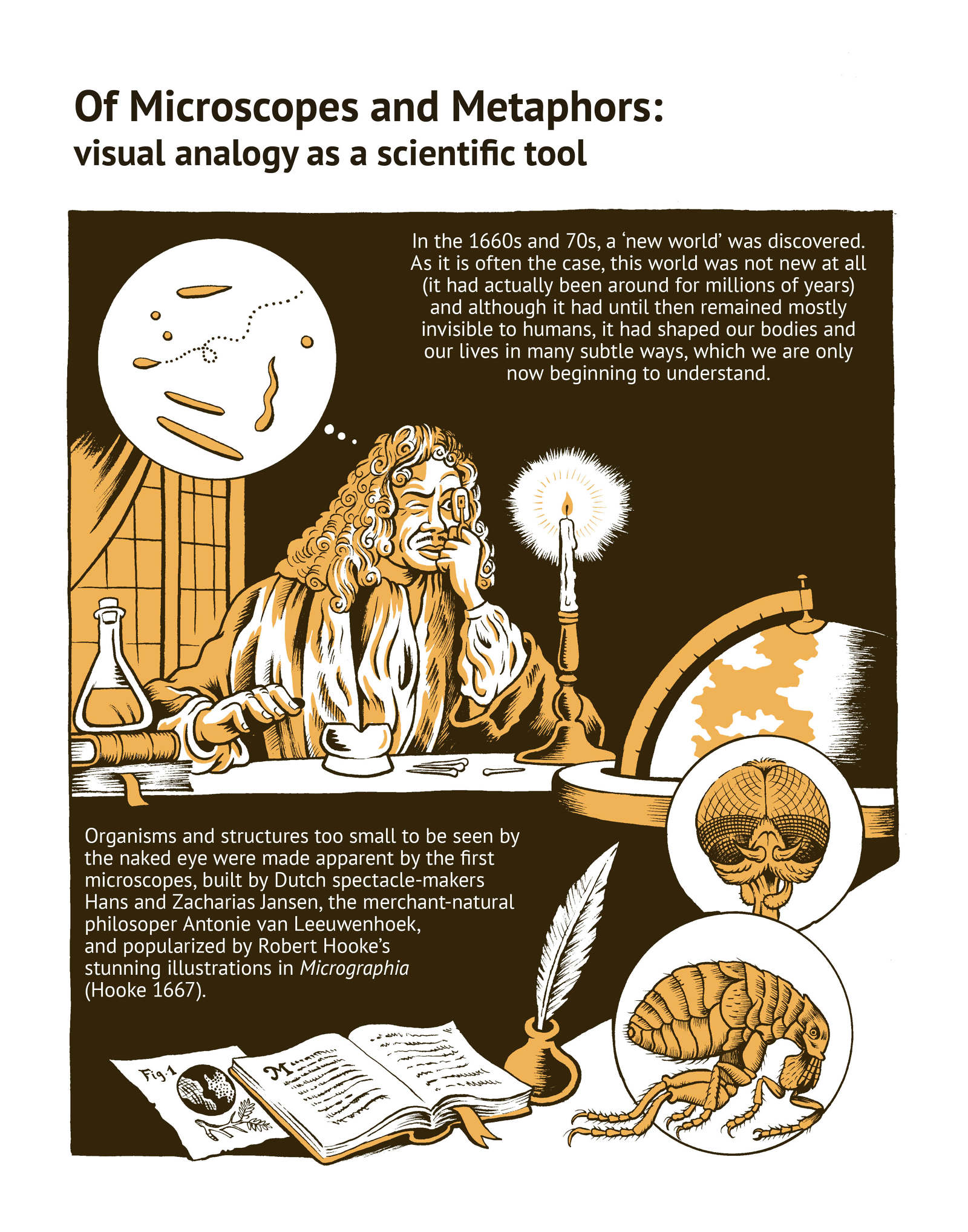 Of Microscopes and Metaphors - Matteo Farinella