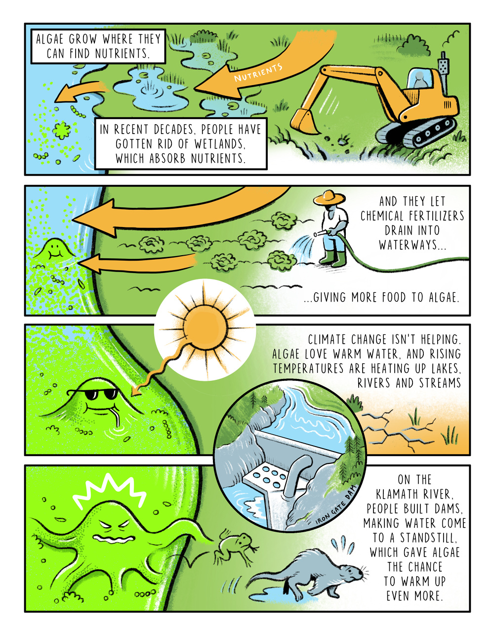 Toxic Algae Comic (PBS) - Matteo Farinella