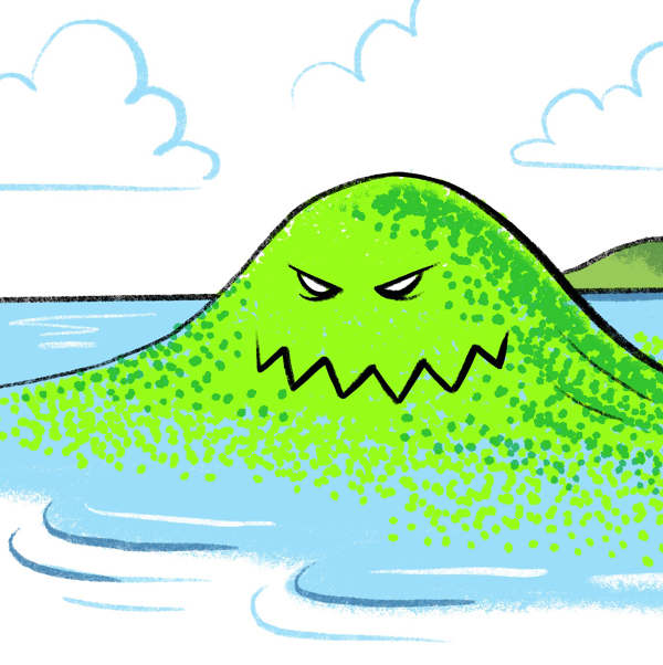 Toxic Algae Comic (PBS) - Matteo Farinella