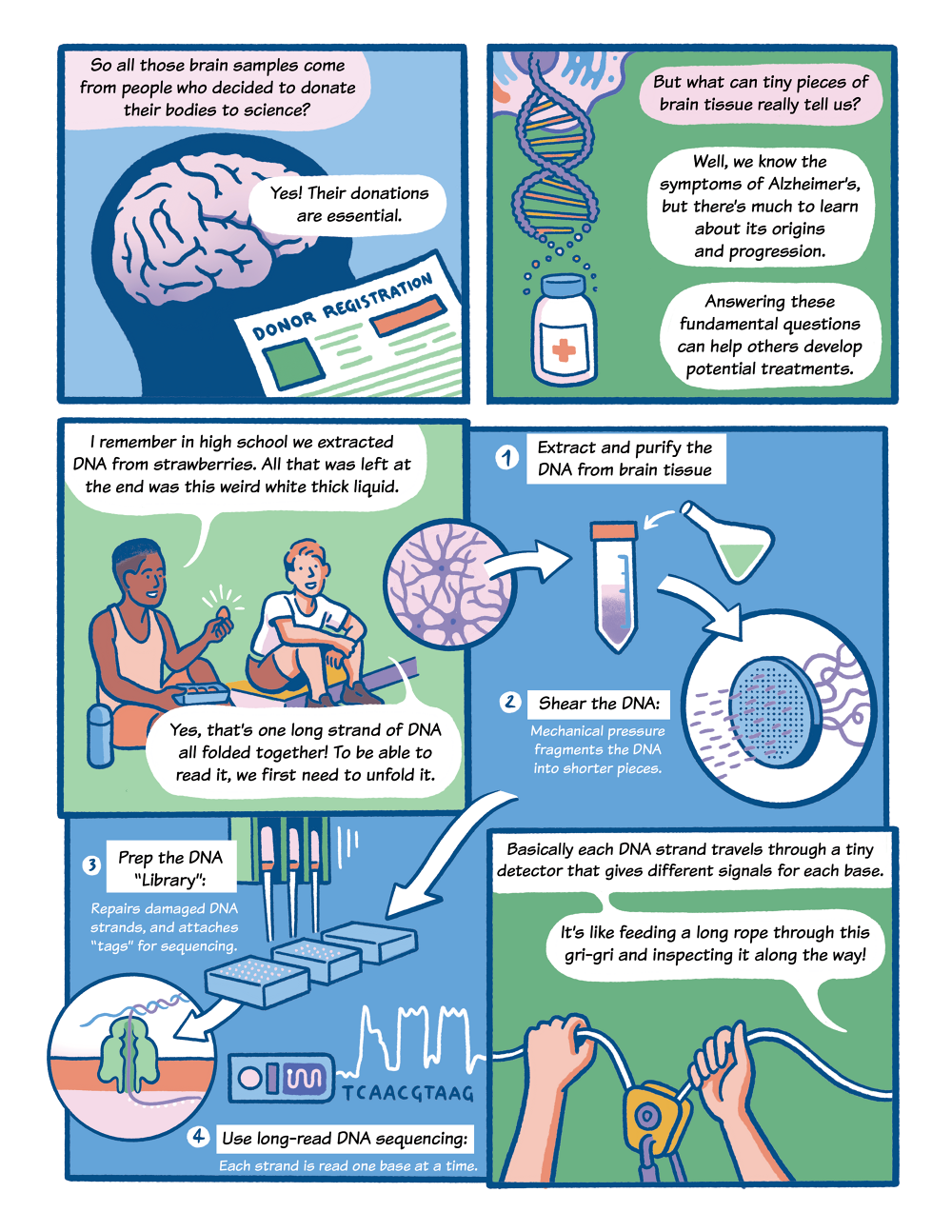 NIH CARD - Matteo Farinella