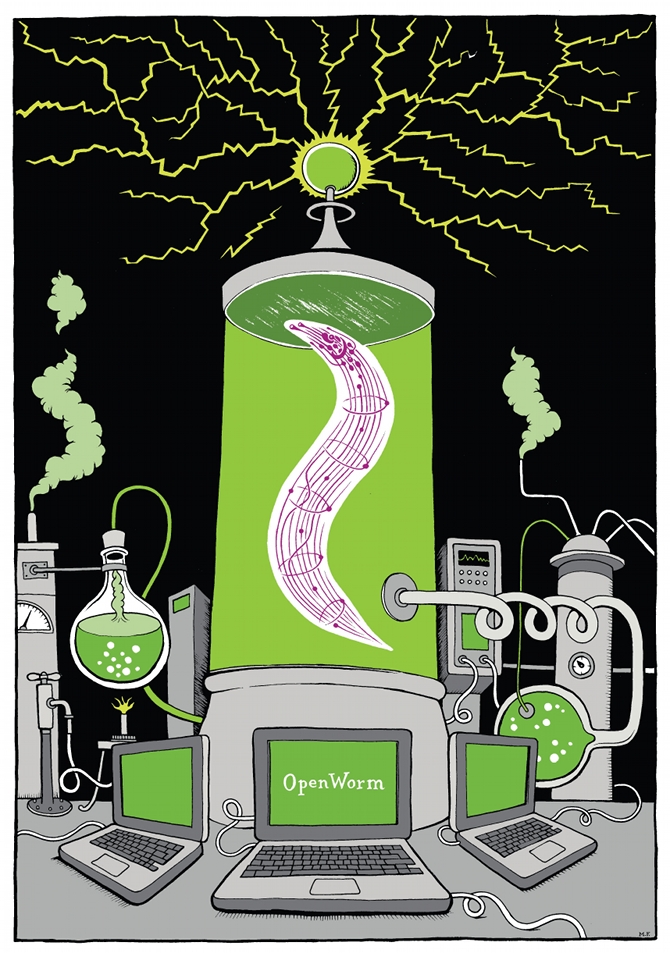 Open Worm - Matteo Farinella