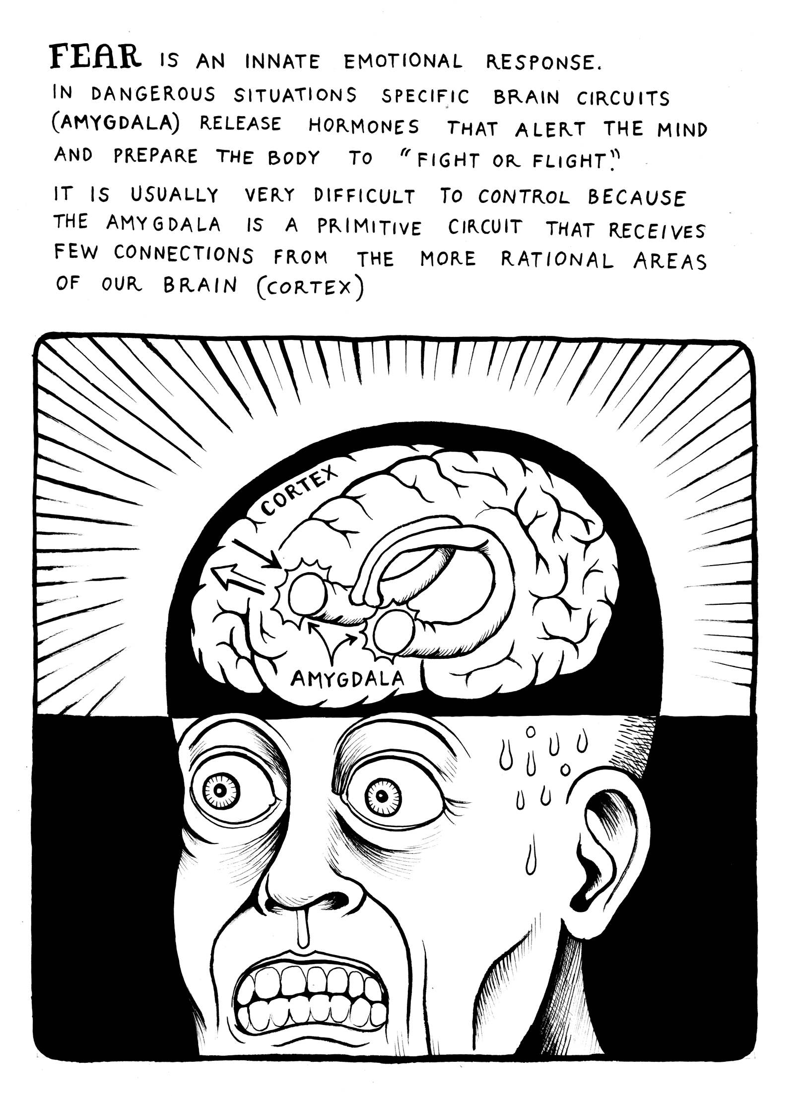 Little Albert Experiment - Matteo Farinella