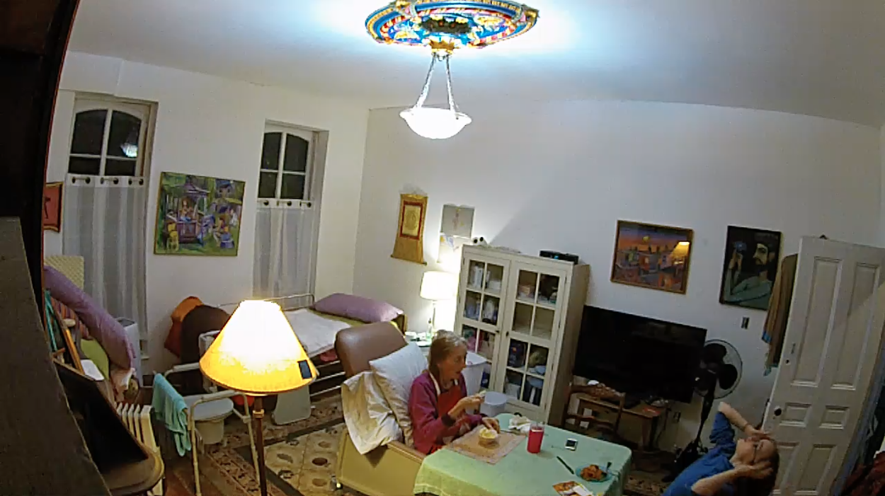 Living and Dying Room - Dominique Zeltzman