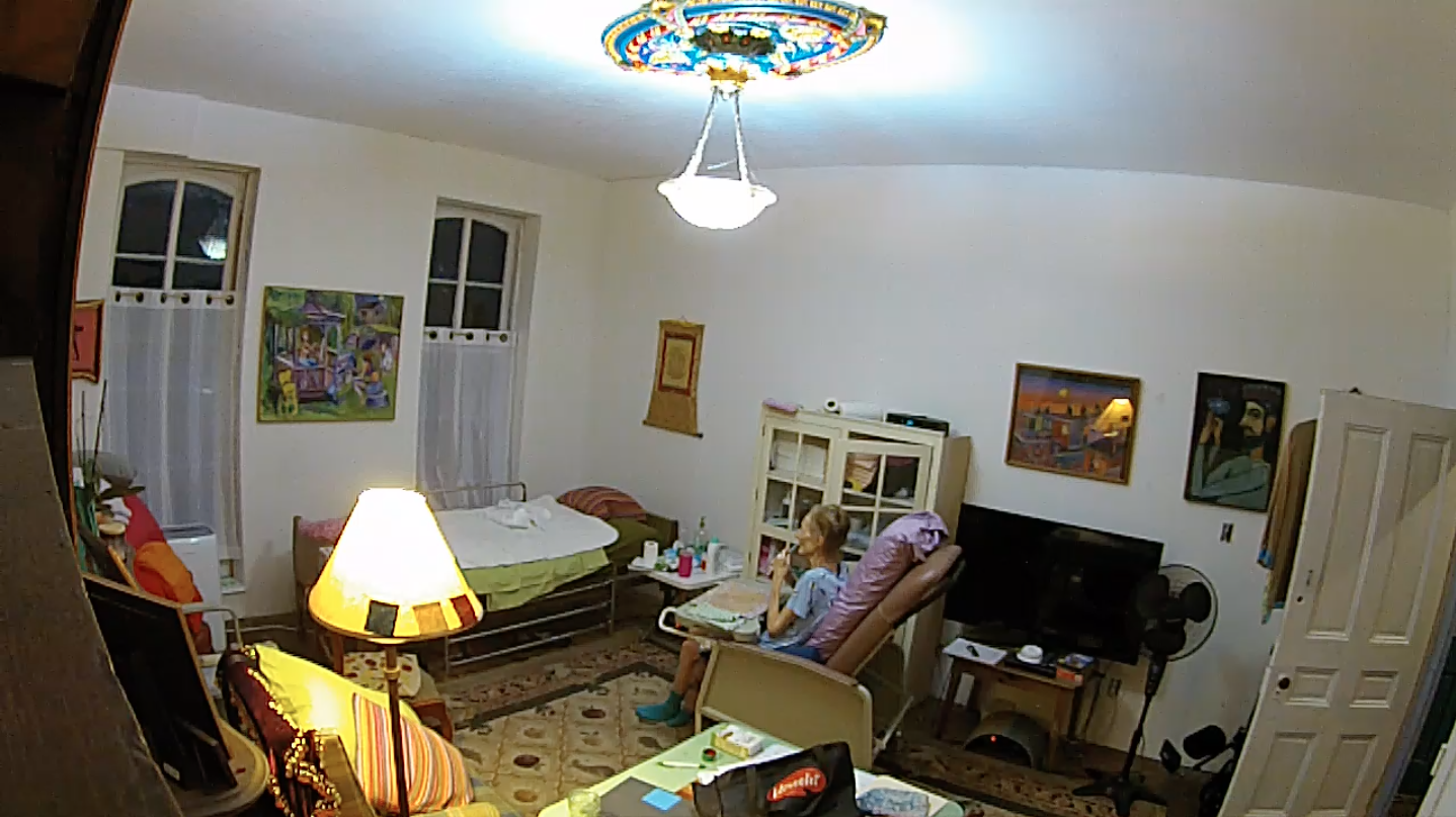 Living and Dying Room - Dominique Zeltzman