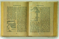 Phil Shaw - Printmaker