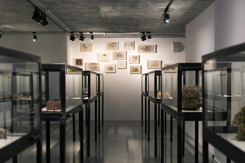 2015 Tabula - Vladimir Chernyshev