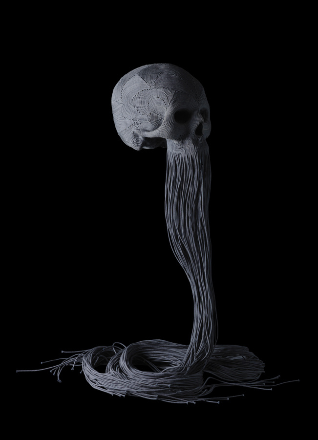 Actualité - www.jim-skullgallery.com