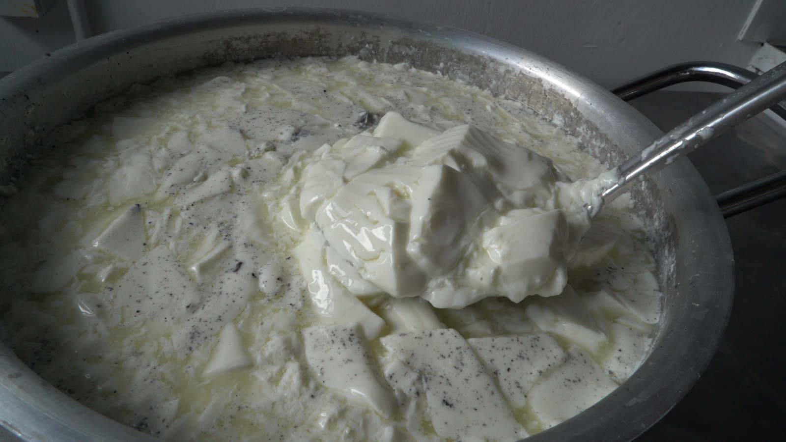 Spoiled Spores - Avril Corroon