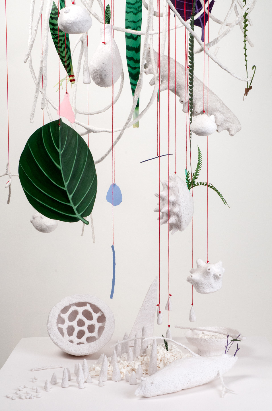 EXHIBITION - Yara Fukimoto