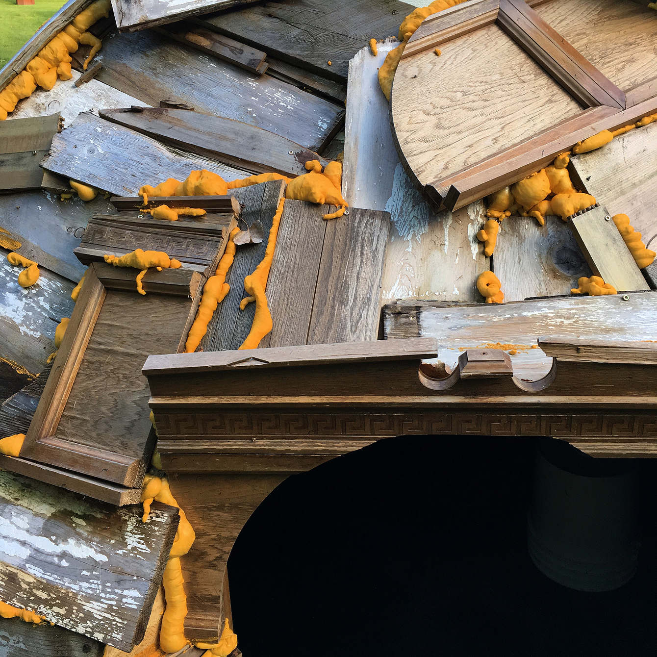 Trash Camera Obscura - www.vanessaalbury.com