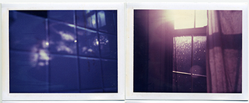 Ephemeral Light Moments - www.vanessaalbury.com