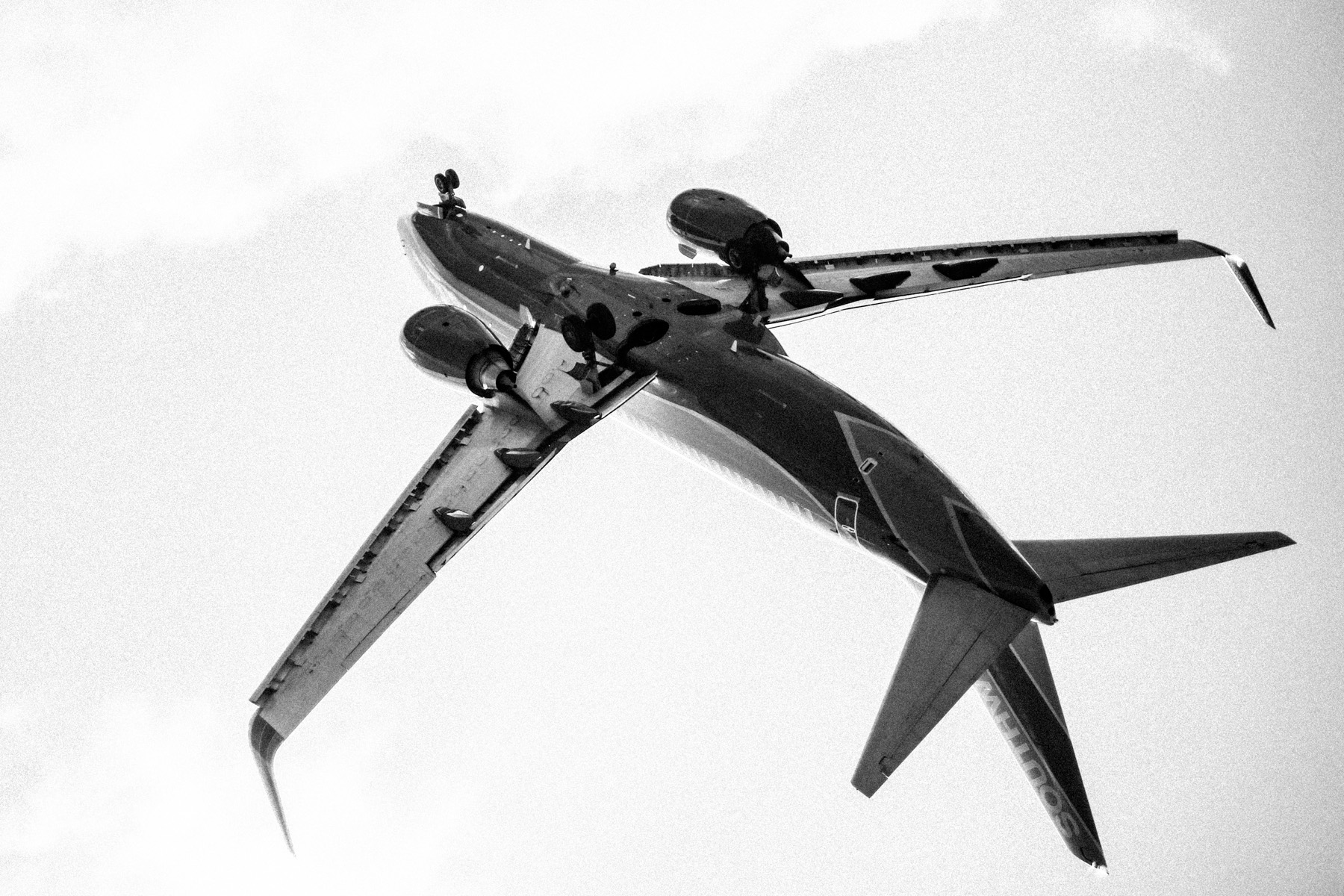 Landing - M A T T E O