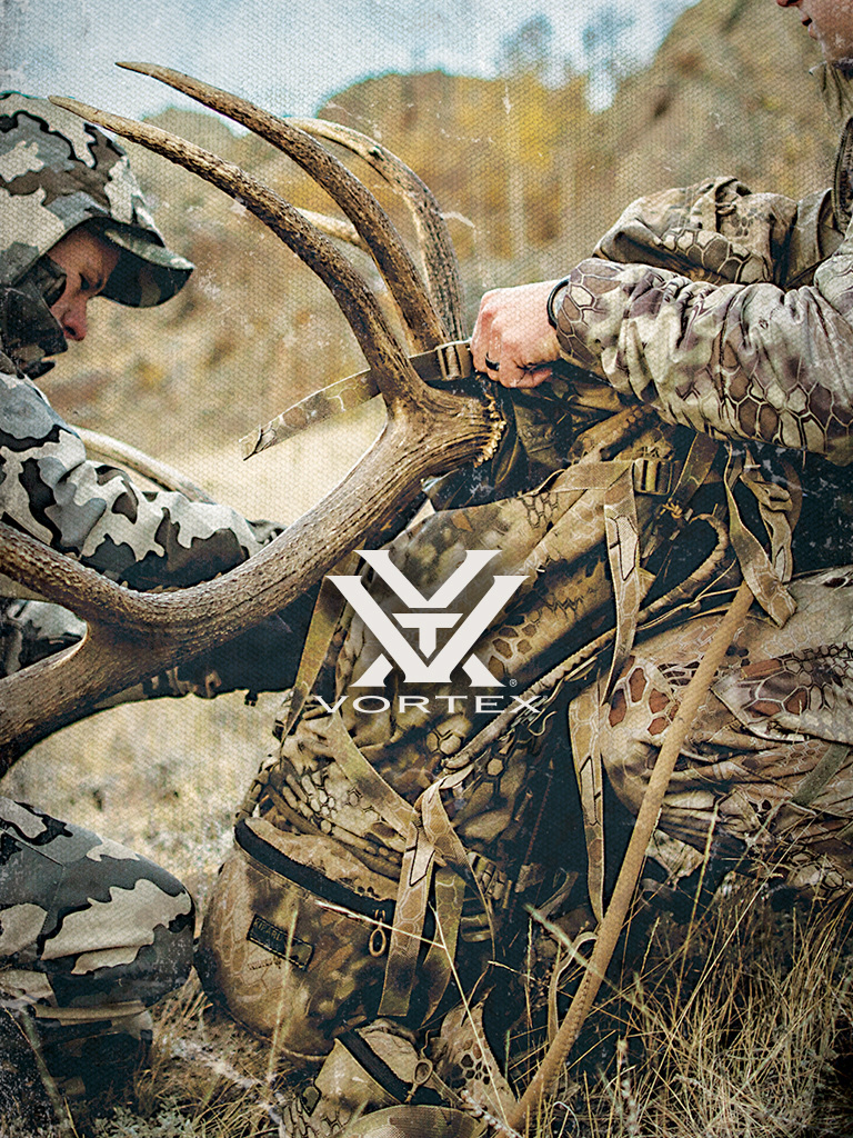 Vortex Desktop Wallpapers - Nicole's Portfolio