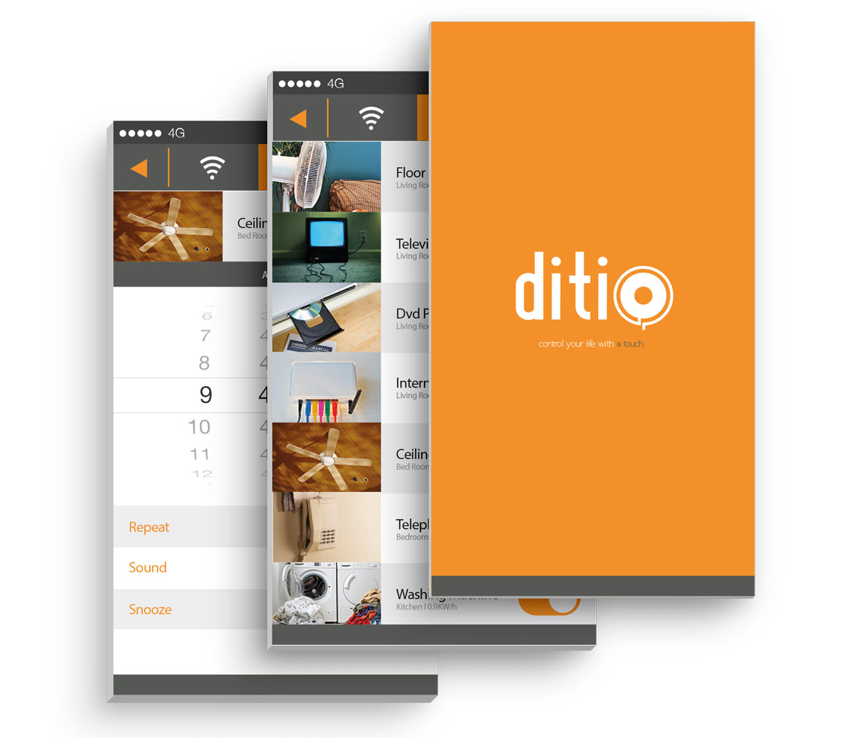 Ditio - Branding - izzlislm