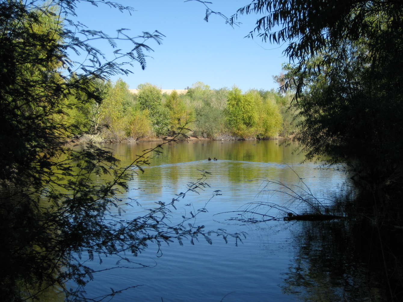 EL RÍO CHUVÍSCAR DE CHIHUAHUA COMO UN INTEGRADOR SOCIAL Y AMBIENTAL ...