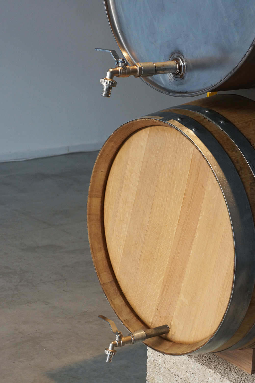 Today We Are Green - Cooking Sections