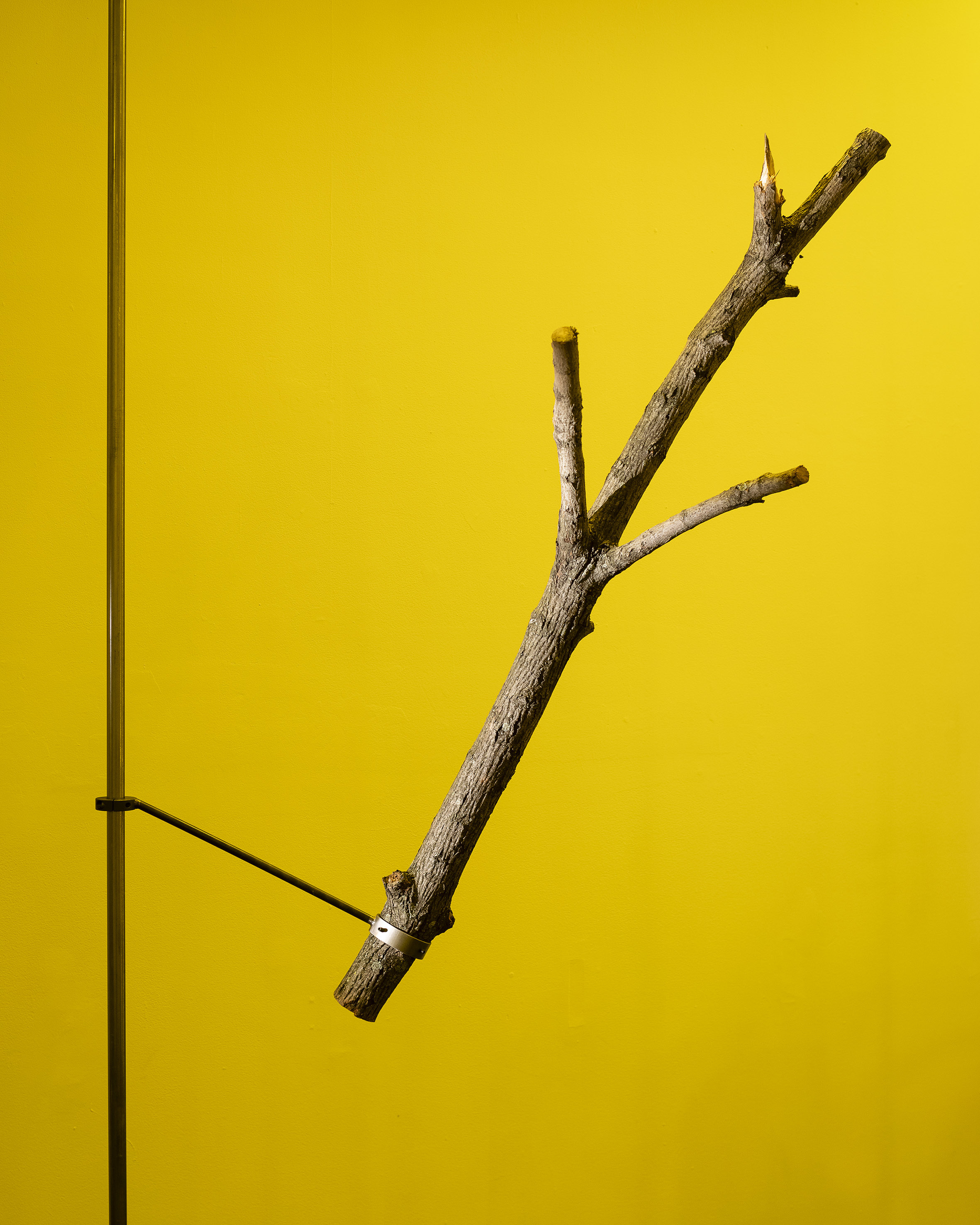 Offsetted - Cooking Sections