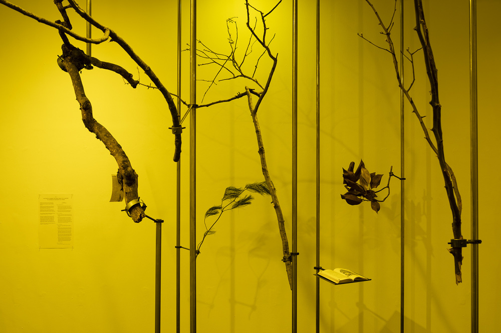 Offsetted - Cooking Sections