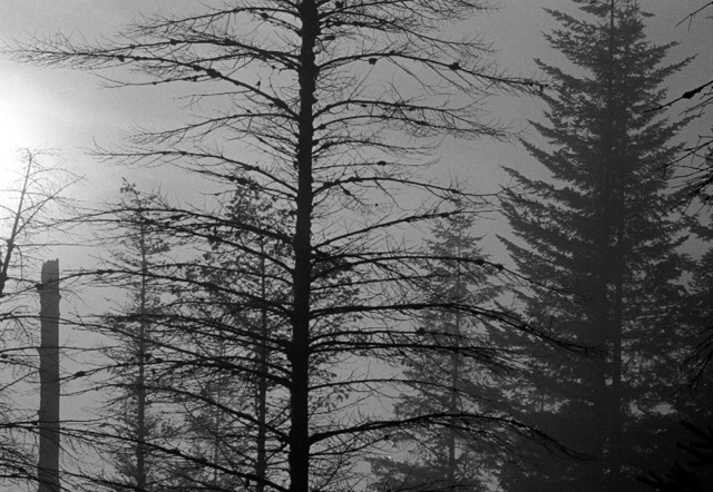 Vincent Halloran - Studio F Gallery Seattle