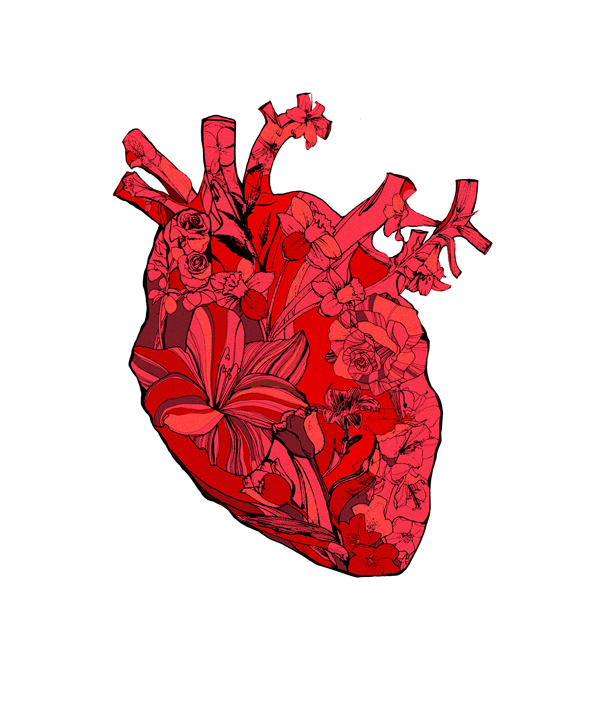 Daniel Vosovic - xiao lin