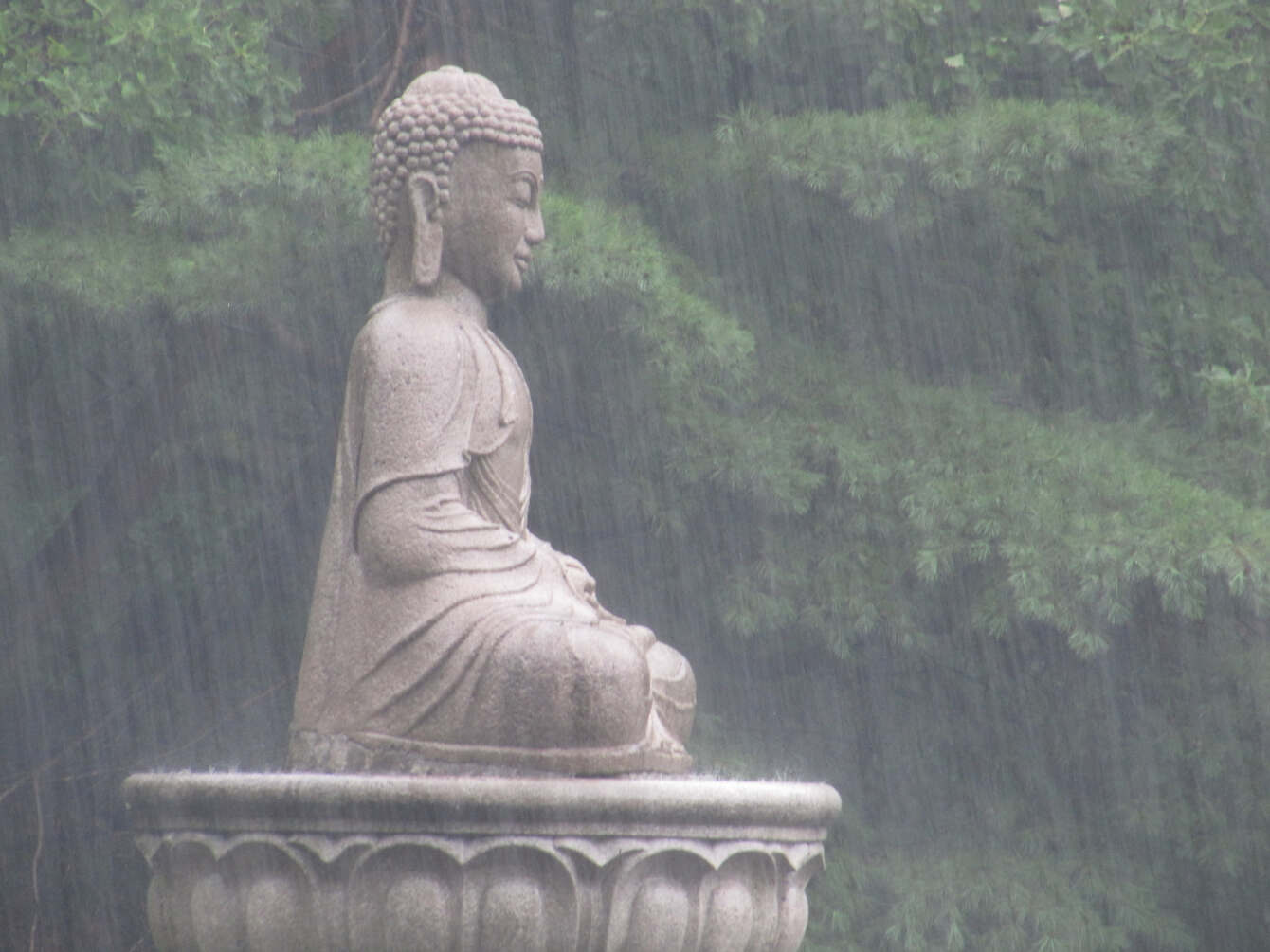 Ordinary Mind Zen School Sydney