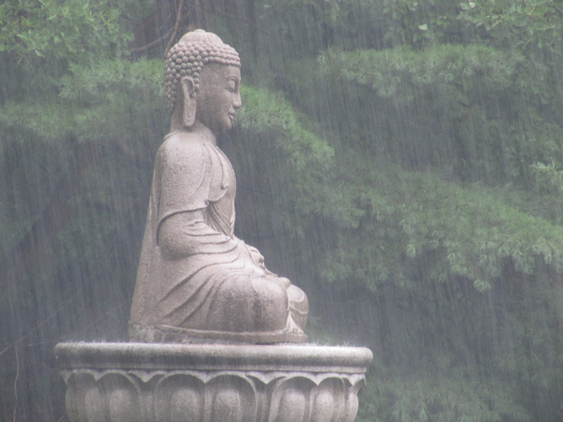 Ordinary Mind Zen School Sydney