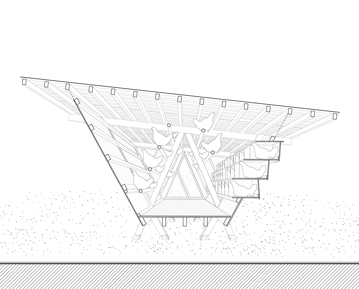 House of Chickens - SO? architecture and ideas | mimarlık ve fikriyat