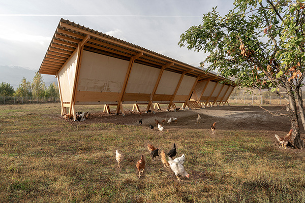 House of Chickens - SO? architecture and ideas | mimarlık ve fikriyat