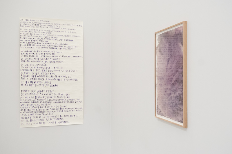 Forbannelsen - Anngjerd Rustand