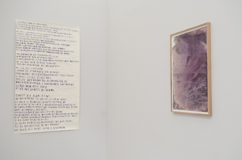 Forbannelsen - Anngjerd Rustand