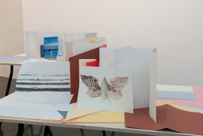 Erratic - Anngjerd Rustand