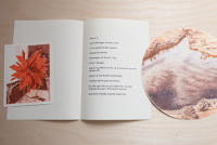 Erratic - Anngjerd Rustand