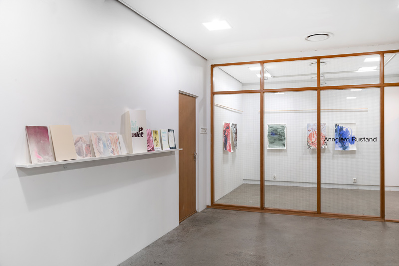 Oppland kunstsenter - Anngjerd Rustand