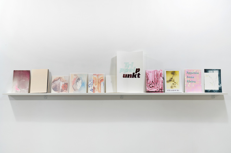 Oppland kunstsenter - Anngjerd Rustand