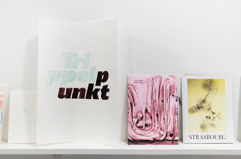 Oppland kunstsenter - Anngjerd Rustand