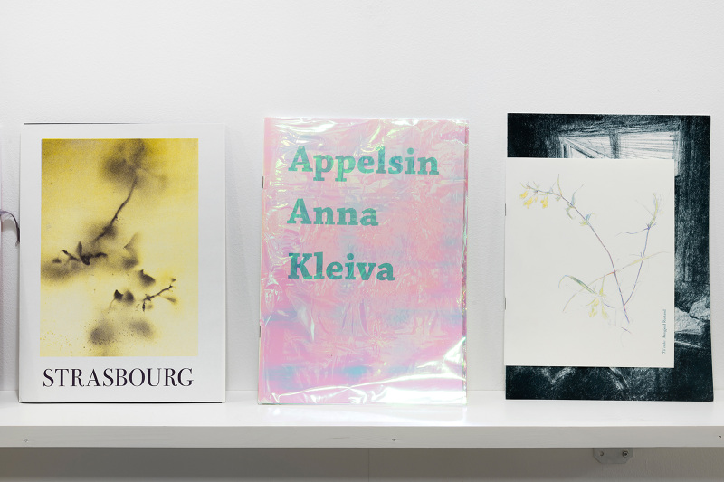 Oppland kunstsenter - Anngjerd Rustand