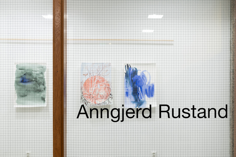 Oppland kunstsenter - Anngjerd Rustand