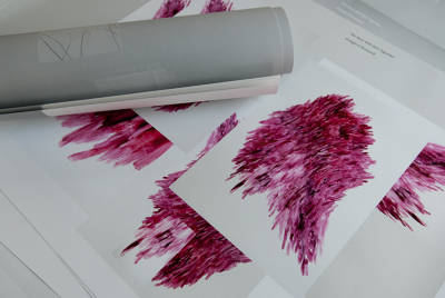 Erratic - Anngjerd Rustand