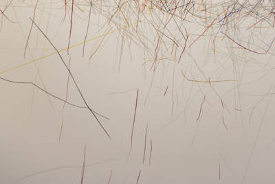 Erratic - Anngjerd Rustand