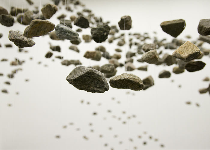 Erratic - Anngjerd Rustand