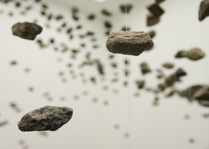 Erratic - Anngjerd Rustand