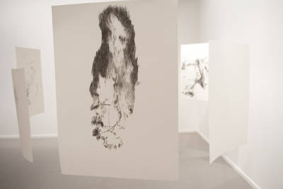 Erratic - Anngjerd Rustand