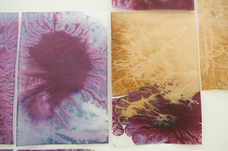 Blåbær og aske (Copenhagen) - Anngjerd Rustand