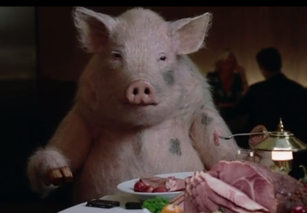 Boost - Pigs - colleenwellman.com